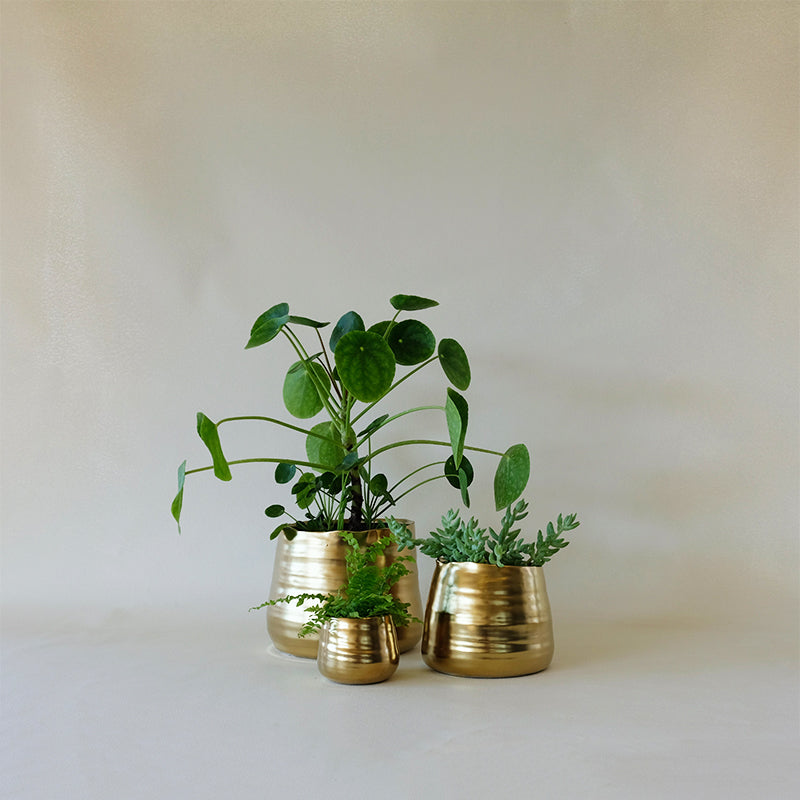 Cachepots - Bowood Farms